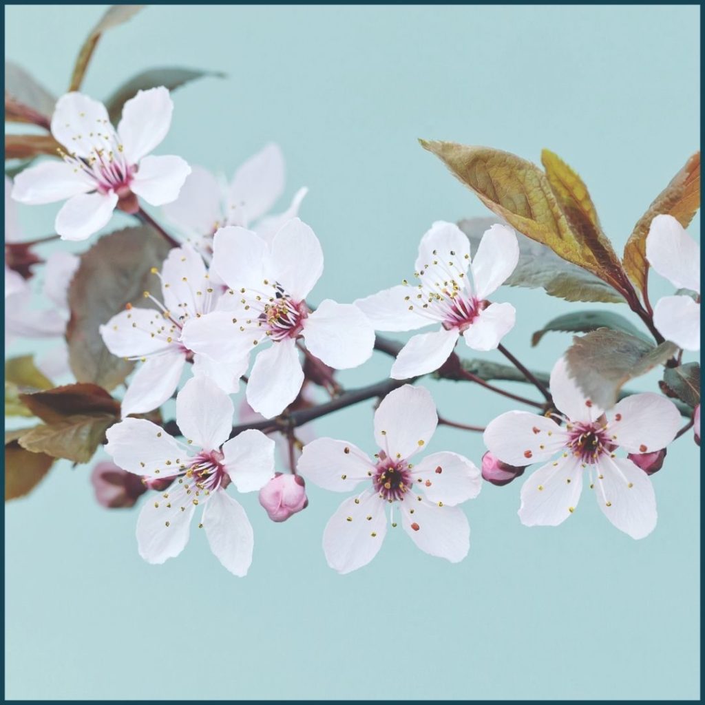 Spring Has Sprung and So Has the Market…Are You Ready? – Arynne Crane ...